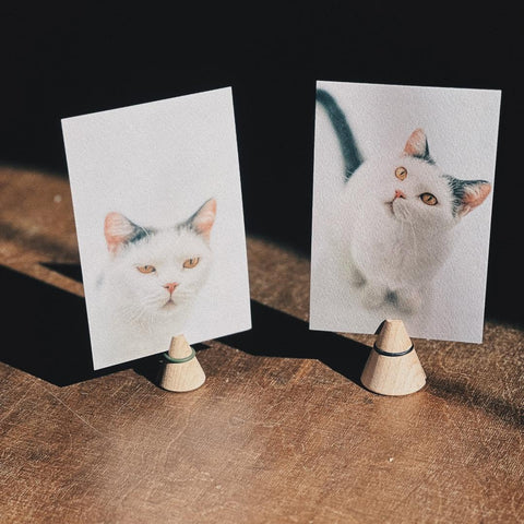 【🇫🇷Tout Simplement】輕巧又不失趣味的設計 令家居整體不失一致感｜HEIMA 稀物角落 – Heima